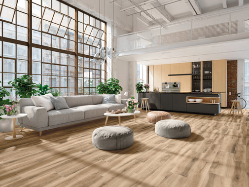 Colecciones – Decorvetro